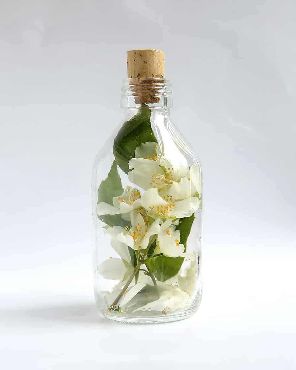 Smells of the things, by Lena Altshul - PRIVATE
